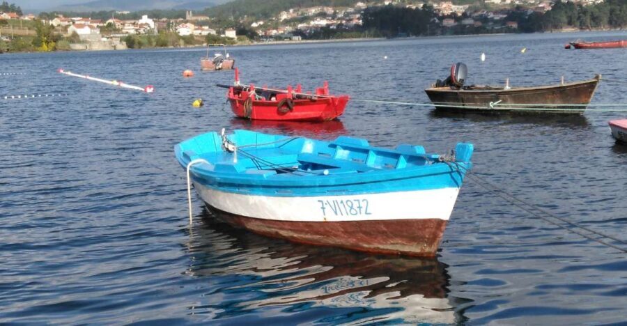 From Santiago: Tour Rias Baixas, Isla de Arousa y Combarro - What Makes This Tour Stand Out?