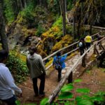 From Seattle: Mount Rainier National Park Guided Tour - The Scenic Route and Highlights