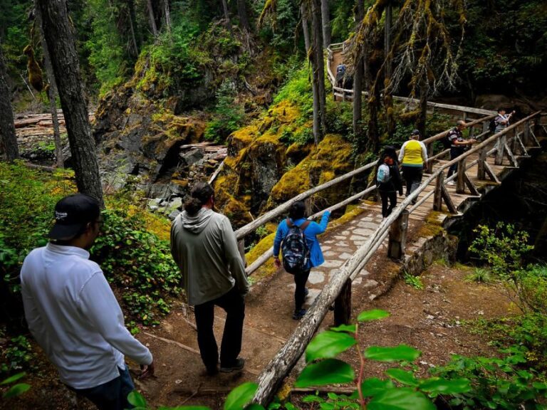 From Seattle: Mount Rainier National Park Guided Tour - The Scenic Route and Highlights