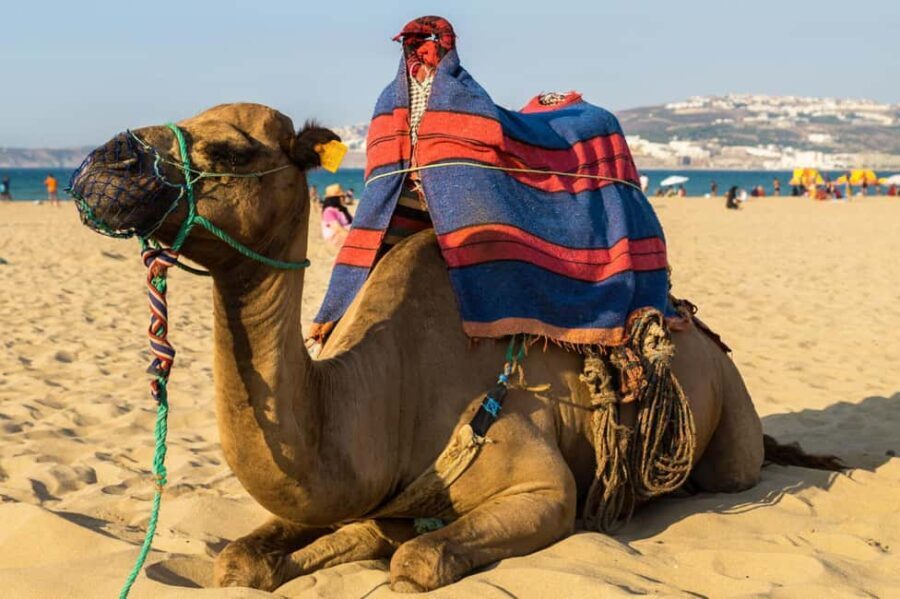 From Seville: Gibraltar and Tangier 2-Day Trip with Hotel - The Itinerary Breakdown: What You Can Expect
