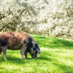 From Seville: White Villages of Huelva Private Full-Day Tour - Final Thoughts