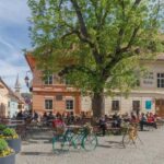 From Sibiu: Blue Line & City Tour Sighisoara - UNESCO - Scenic Journey from Sibiu