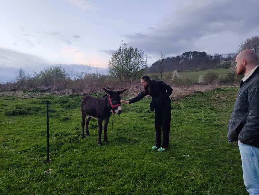 From Sibiu: Villages, Farm Life & Horse Carriage Ride - Exploring the Itinerary: From Monasteries to Village Carriages