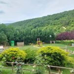 From Skopje: Kosovo in a Day  Prishtina, Monastery & Bears - The Sum Up