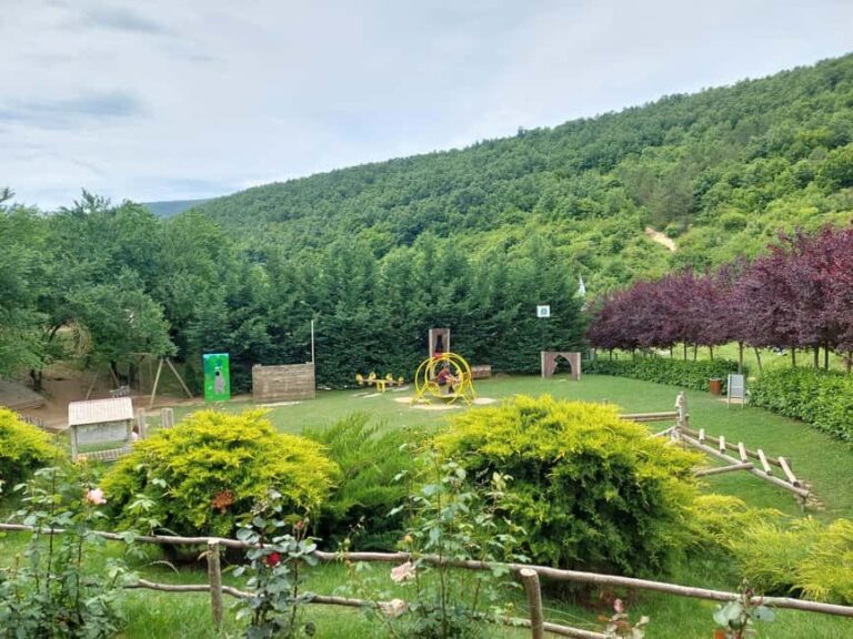 From Skopje: Kosovo in a Day  Prishtina, Monastery & Bears - The Sum Up