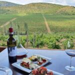 From Skopje: Lazar & Chateau Sopot Wineries Visit & Tastings - Why Consider This Tour?
