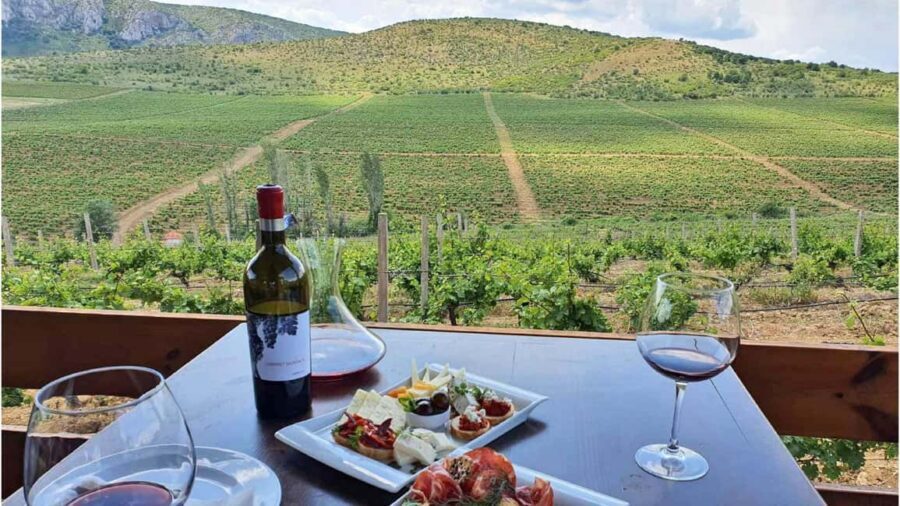 From Skopje: Lazar & Chateau Sopot Wineries Visit & Tastings - Why Consider This Tour?