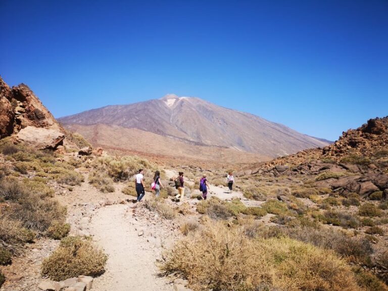 From South Tenerife: Teide National Park Tour - Using the Landscape: Practical Tips and Details
