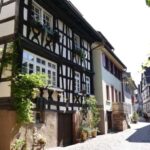 From Strasbourg: Black Forest Day Trip with Guide & Museum - Price and Value