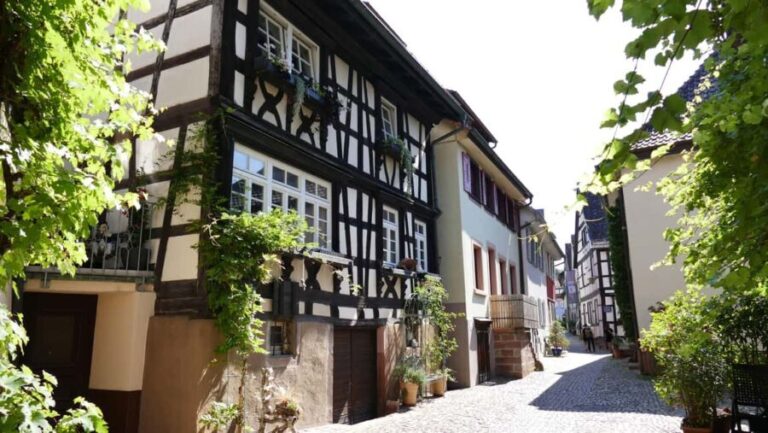 From Strasbourg: Black Forest Day Trip with Guide & Museum - Price and Value