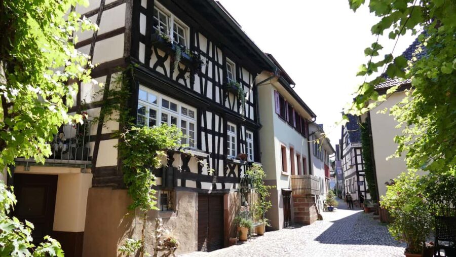 From Strasbourg: Black Forest Day Trip with Guide & Museum - Price and Value