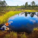 From Tallinn: Bog walk and Sauna Tour - What Do Travelers Say?