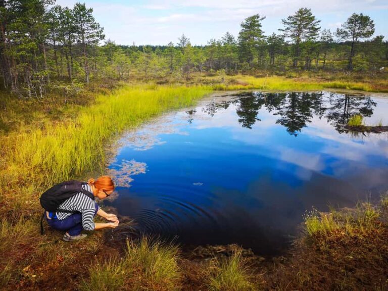 From Tallinn: Bog walk and Sauna Tour - What Do Travelers Say?
