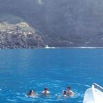 From Tazacorte: Discover the Northwest Coast by Speedy Yacht - What to Expect on the Tour