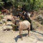 FROM TIRANA: Bovilla Lake & Gamti Mountain Hiking Trip - What We Love and What to Keep in Mind