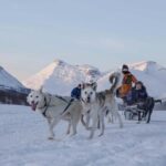 From Tromsø: Advanced Dog Sledding Daytime & Snow Park Visit - The Itinerary in Detail