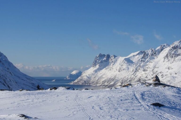 From Tromsø: Guided Snowshoe Hike Experience - Value and Practical Details