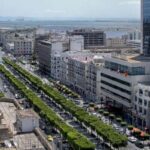 From Tunis/Sousse: Medina Carthage, Sidi Boussaid Tour - What You Get for the Price