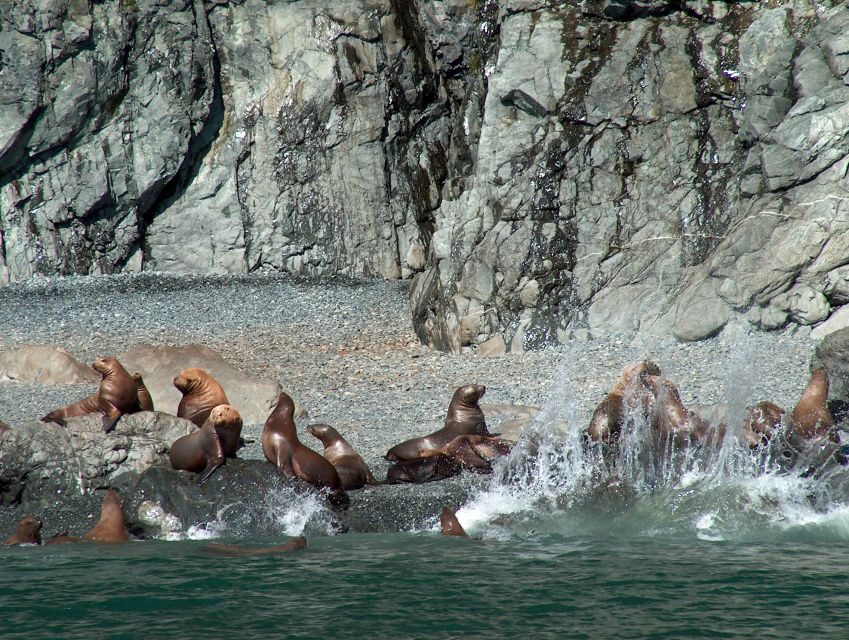 From Valdez: 7.5-hour Meares Glacier & Wildlife Cruise - What Sets This Tour Apart?