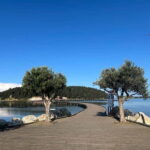 From Vlora: Zvernec, Apollonia & Berat Day Tour - What Makes This Tour Valuable?
