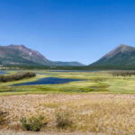 From Whitehorse: Skagway Day-Trip - The Scenic Drive along the South Klondike Highway
