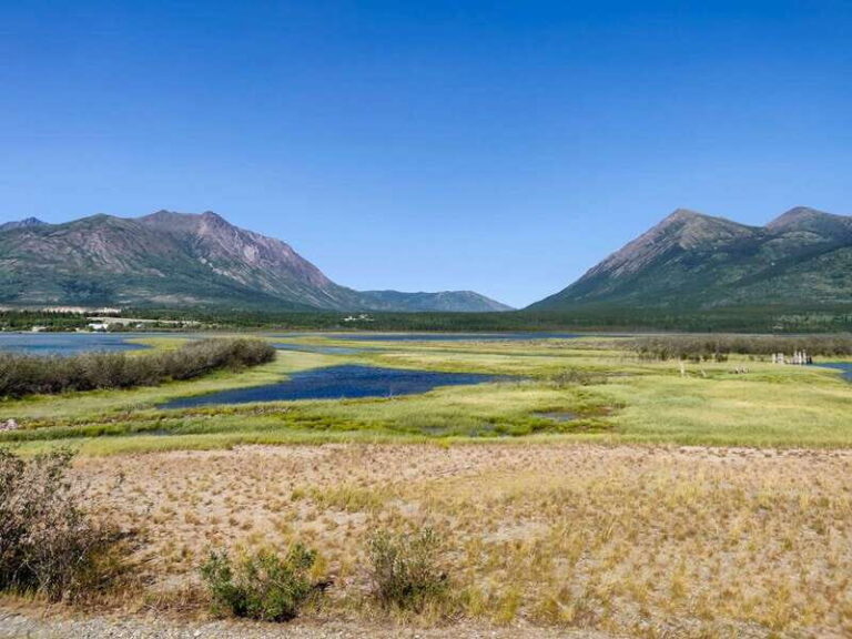 From Whitehorse: Skagway Day-Trip - The Scenic Drive along the South Klondike Highway