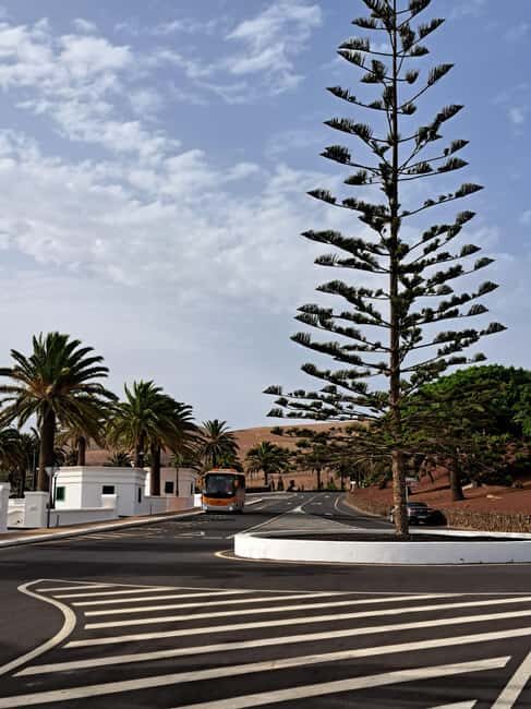From Yaiza: Timanfaya Express Tour with No Queues - Practical Details: What You Need to Know