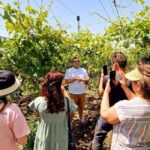 From Yerevan: Winery Tour with Wine Tasting and Dinner - A Closer Look at the Itinerary and Experience