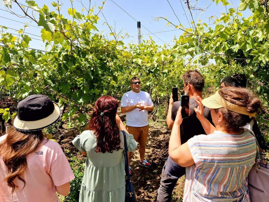 From Yerevan: Winery Tour with Wine Tasting and Dinner - A Closer Look at the Itinerary and Experience