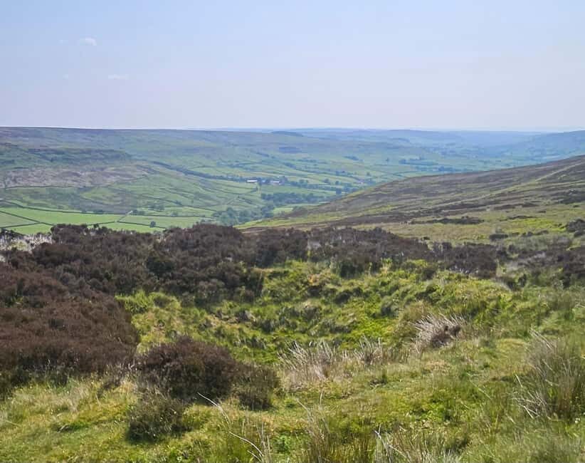 From York: North Yorkshire Moors, Steam Train and Whitby - A Deep Dive into the Itinerary