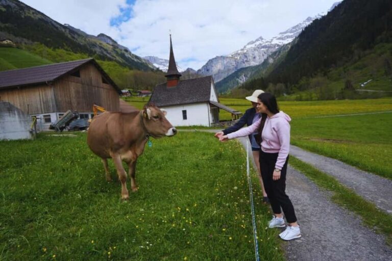 From Zurich: Hidden Swiss Gems Private Day Tour with a Local - Who Should Consider This Tour?