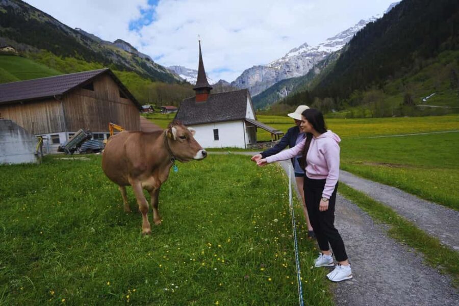 From Zurich: Hidden Swiss Gems Private Day Tour with a Local - Who Should Consider This Tour?