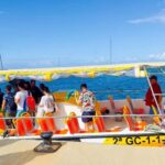 Fuerteventura: Lobos Island Guided Tour with Snorkeling - Key Points