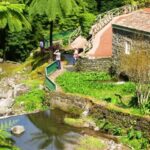 Full-Day 4x4 Nordeste Azores Tour from Ponta Delgada - What You Can Expect During the Day