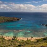 Full Day Best of Oahu Sightseeing Tour - Who Will Benefit Most?