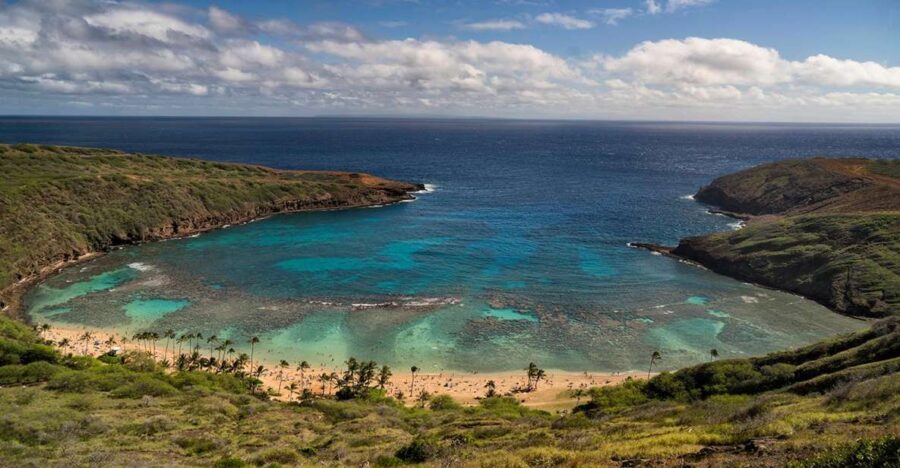 Full Day Best of Oahu Sightseeing Tour - Who Will Benefit Most?