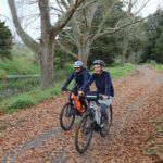Full Day Ebike Tour in Karangahake Gorge (ex Auckland) - Reflection on the Experience: Pros and Cons