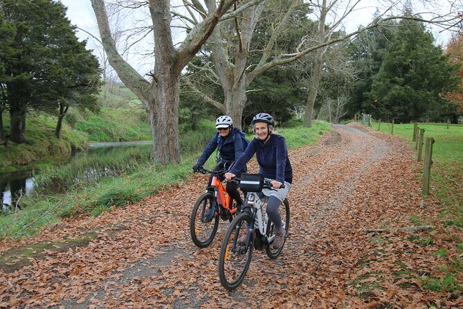 Full Day Ebike Tour in Karangahake Gorge (ex Auckland) - Reflection on the Experience: Pros and Cons