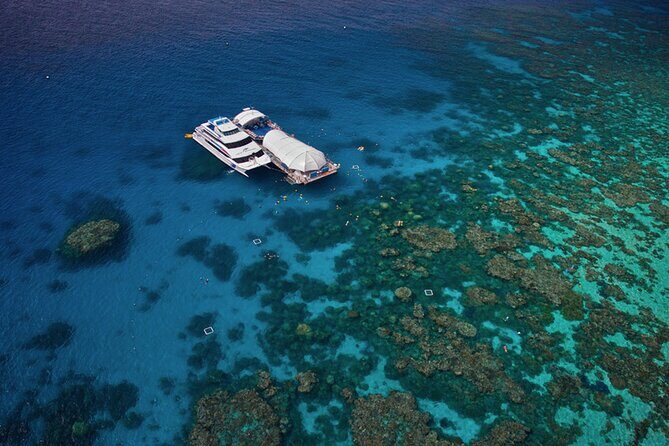 Full-Day Great Barrier Reef Pontoon with Snorkeling & Activities - Practical Tips for Your Reef Day