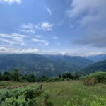 Full Day Mountine Tours from Batumi - Who Will Love This Tour?