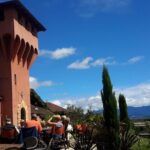 Full-Day Taste the Wines of Marlborough Tour - Authenticity and Value