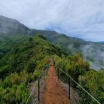 Funchal: Bica da Cana to Encumeada Guided Hike with Pickup - Walking Through Water and Tunnels