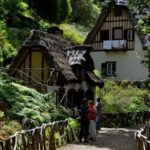 Funchal: Levada Caldeirão Verde Waterfalls and Forests Hike - What to Expect on the Hike