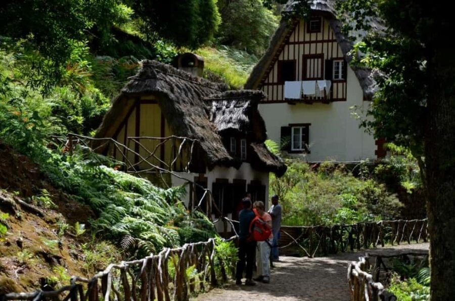 Funchal: Levada Caldeirão Verde Waterfalls and Forests Hike - What to Expect on the Hike