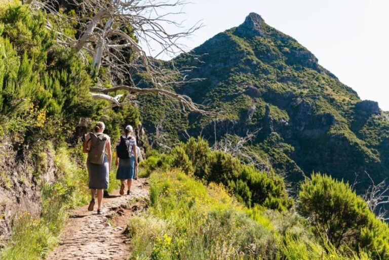 Funchal: Pico do Arieiro Sunrise Hiking Transfer - A Detailed Look at the Experience