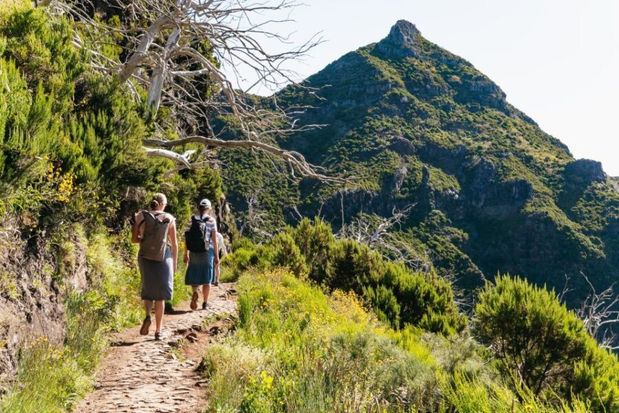 Funchal: Pico do Arieiro Sunrise Hiking Transfer - A Detailed Look at the Experience