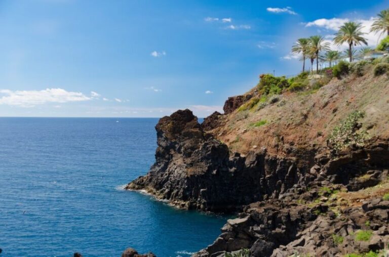 Funchal: Private Walking Tour with a Local - What to Expect on Your Walk