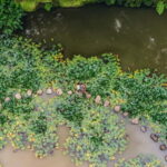 Furnas & Terra Nostra Gardens Biologist-guided Tour +lunch - Practical Details