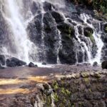 Furnas Volcano Wonders, Tea Plantation & Waterfall Tour - Who Will Love This Tour?
