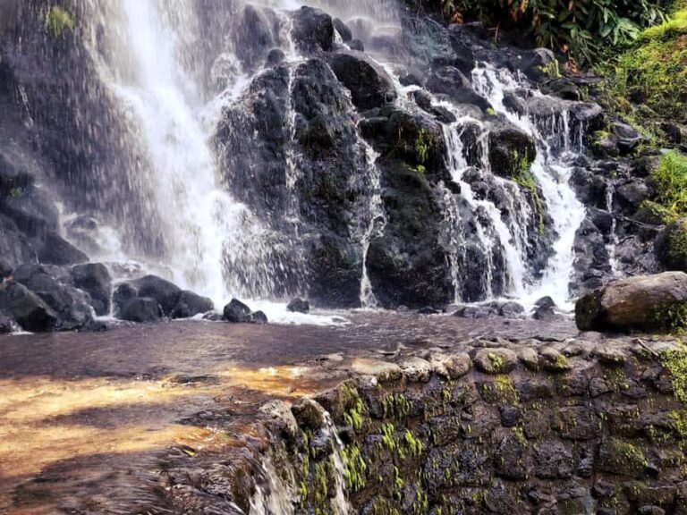 Furnas Volcano Wonders, Tea Plantation & Waterfall Tour - Who Will Love This Tour?